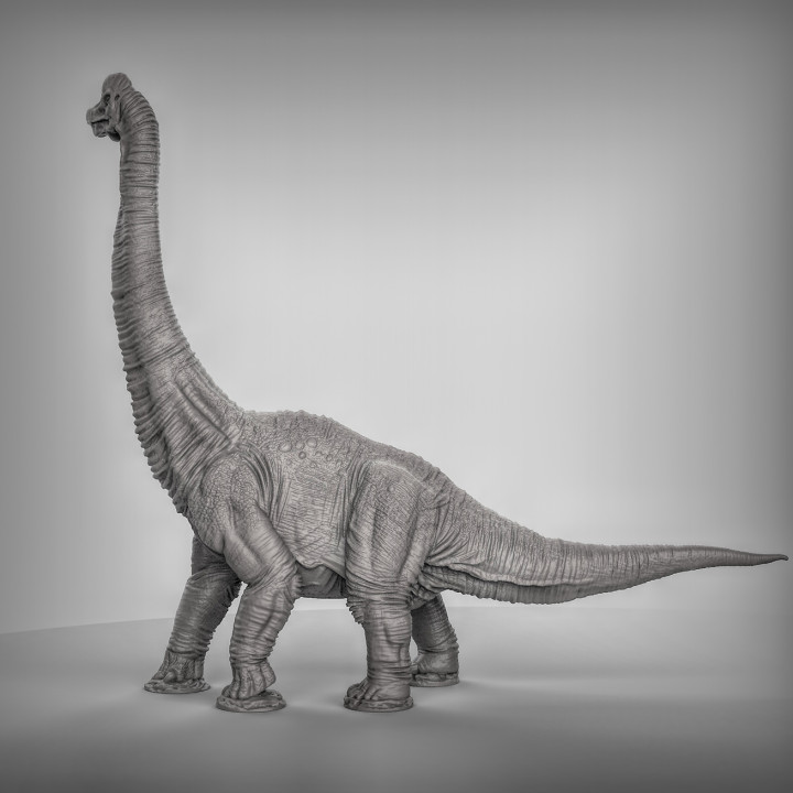 3D Printable Brachiosaurus by Duncan Shadow