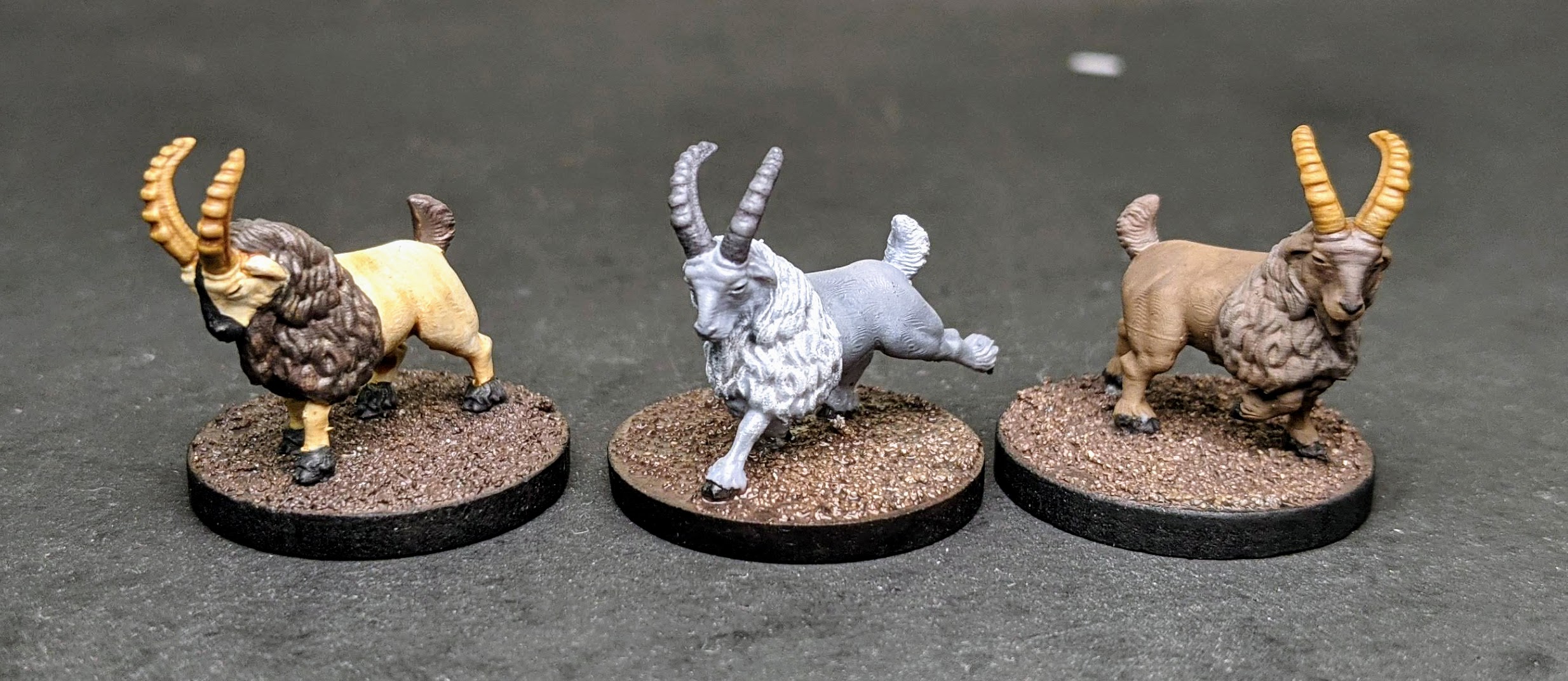 3D Printable Dwarf Goat Riders by Duncan Shadow