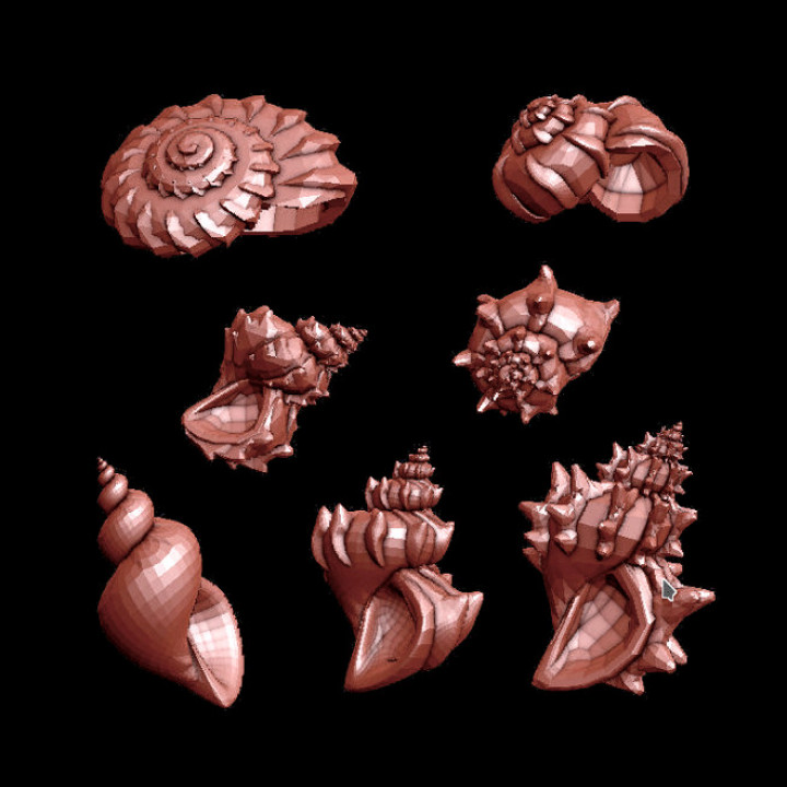 3D Printable Spiral Shells by Pellinor