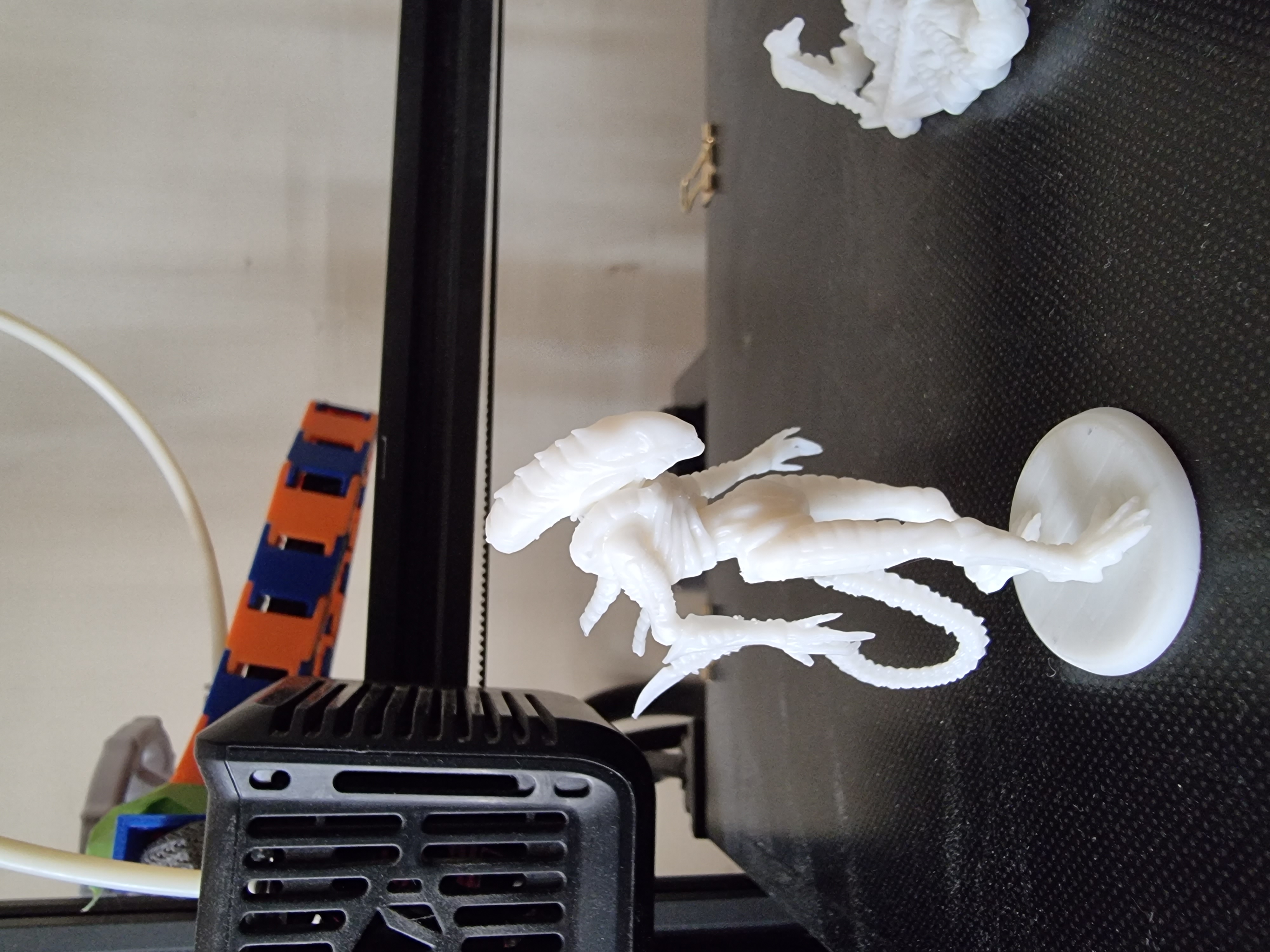 3D Printable Xenos by Juan Carlos