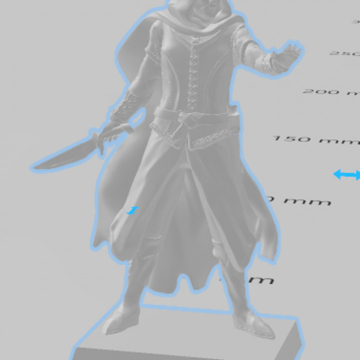 3D Printable Rogue elf by Dillon17