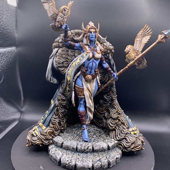 3D Print of Frost Giant Queen by Scarecrow4560