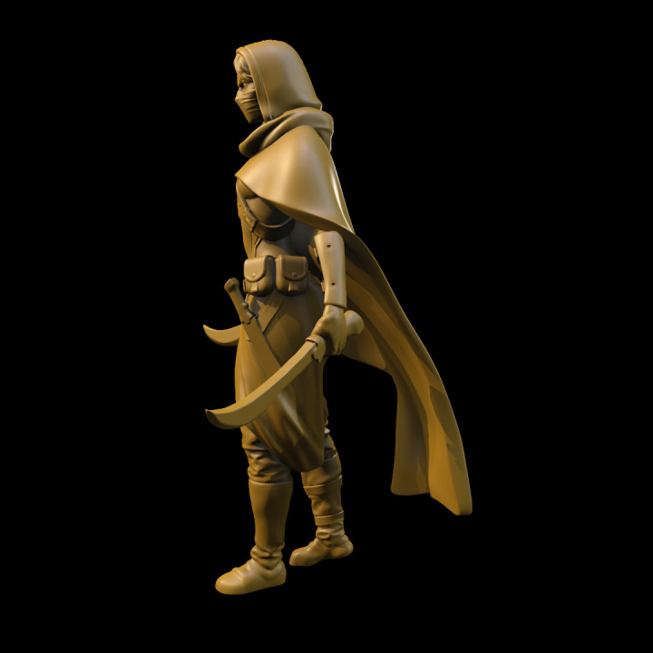 3D Printable Assassin Female by Jeremy Smith