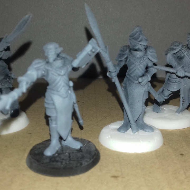 3D Printable Elven Leaders Set, 2 Miniatures, Dungeons&Dragons !FREE ...