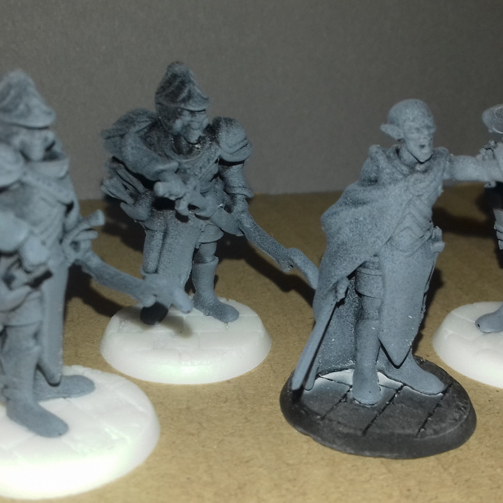 3D Printable Elven Leaders Set, 2 Miniatures, Dungeons&Dragons !FREE ...