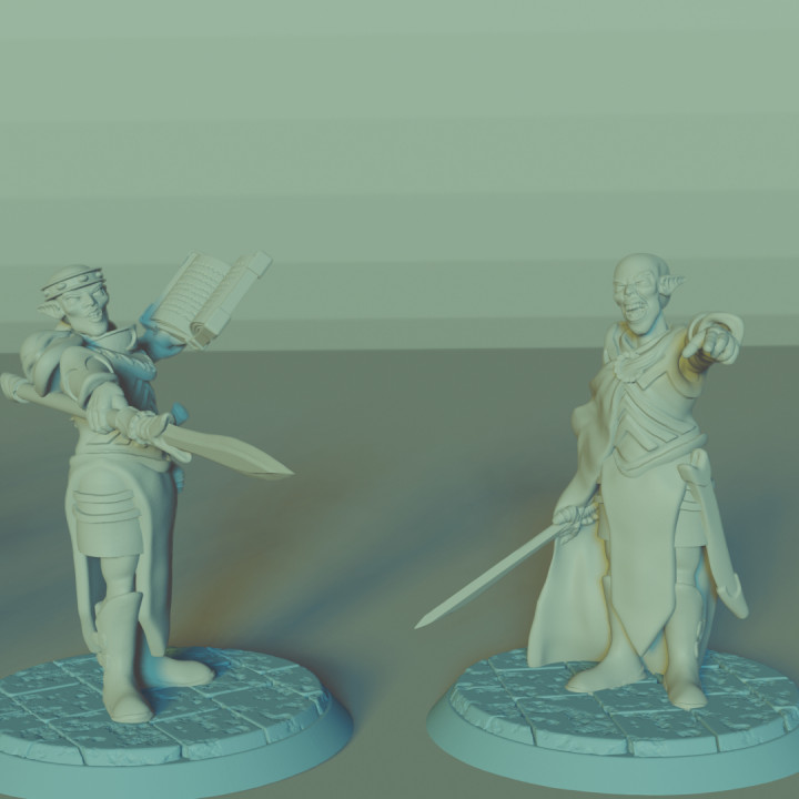 3D Printable Elven Leaders Set, 2 Miniatures, Dungeons&Dragons !FREE ...
