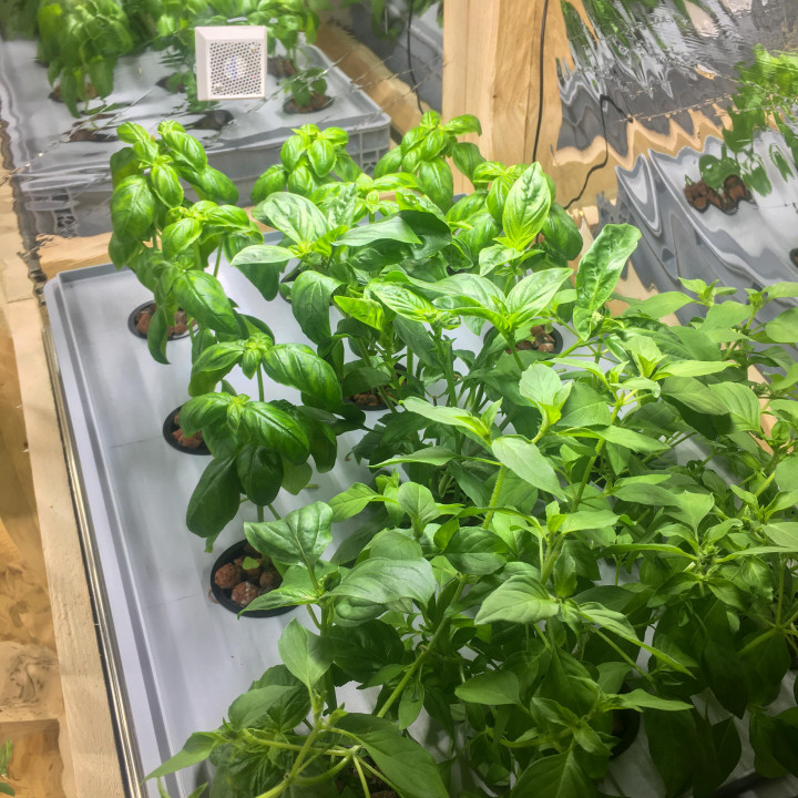 3D Printable Net Cup / Net Pot for Hydroponic Gardening by Felix