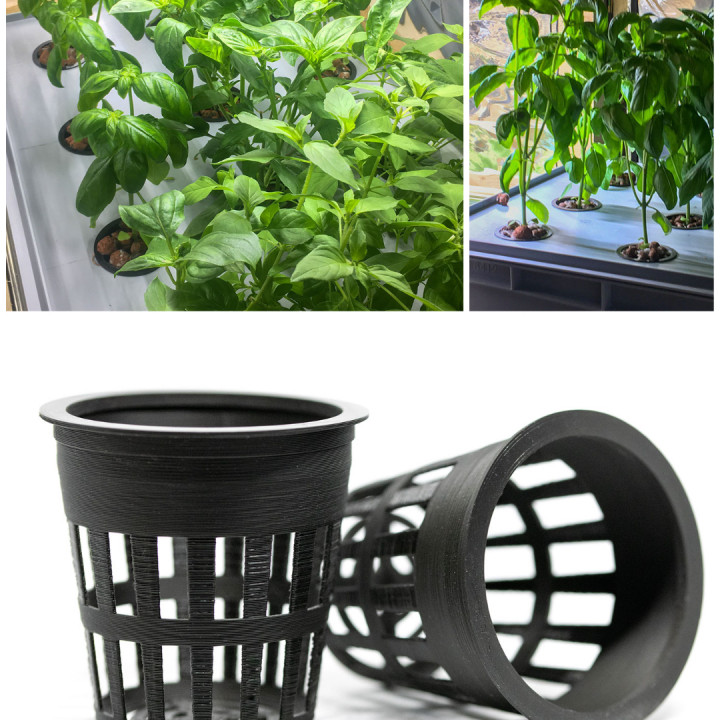 3D Printable Net Cup / Net Pot for Hydroponic Gardening by Felix