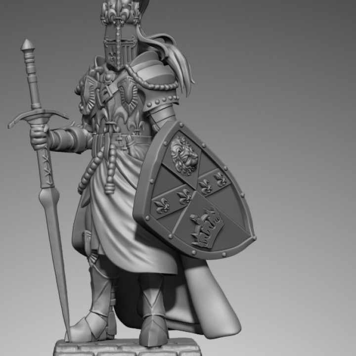 3D Printable DUKE ON FOOT (7 SHIELDS AND 3 WEAPONS AND 2 HEADS) by ...