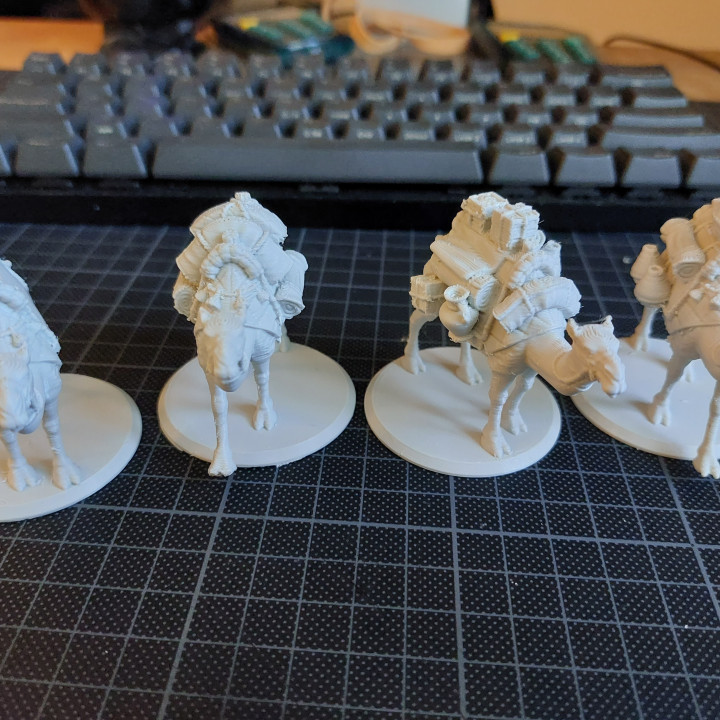 3D Print of Camels by roybijster