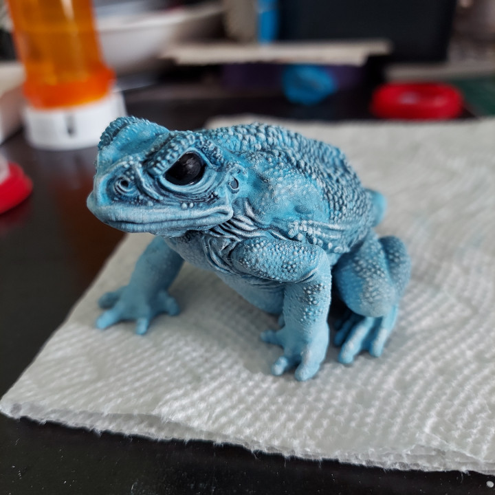 3D Print of Giant Toads by IsauraS