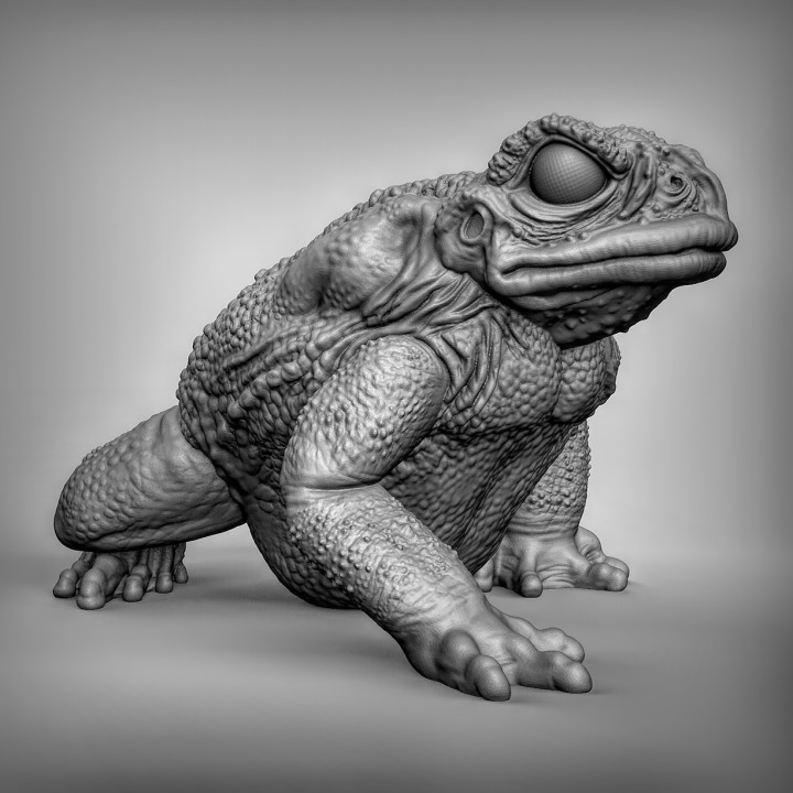 3D Printable Giant Toads by Duncan Shadow