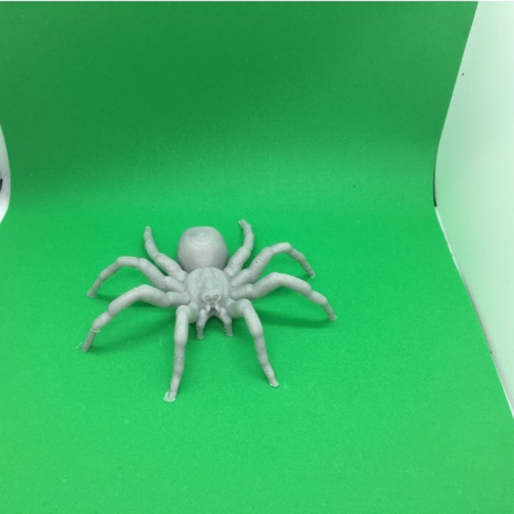 3D Printable Spider by Paul