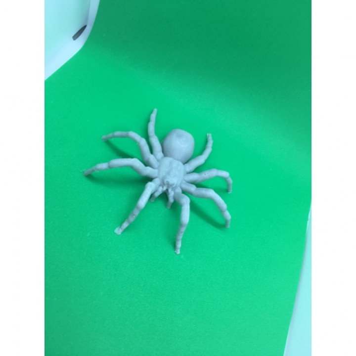 3D Printable Spider by Paul