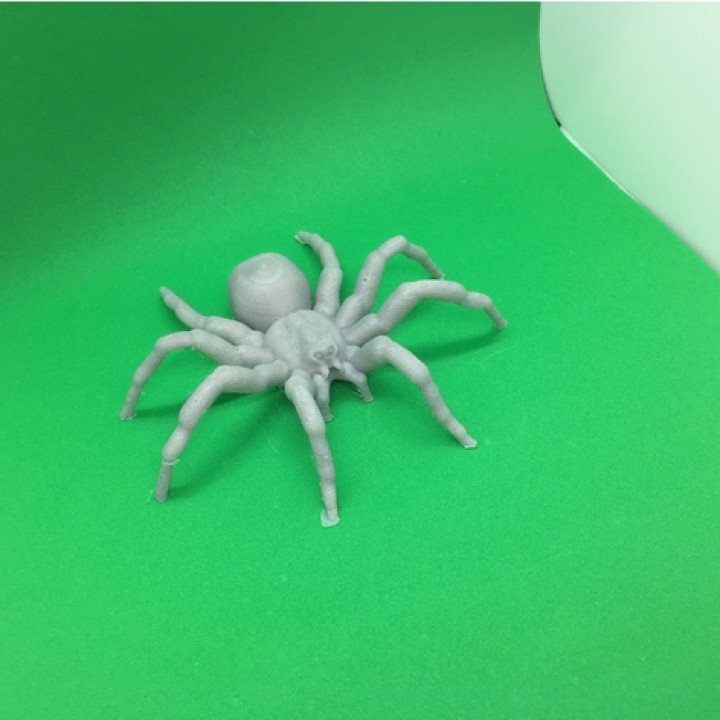3D Printable Spider by Paul