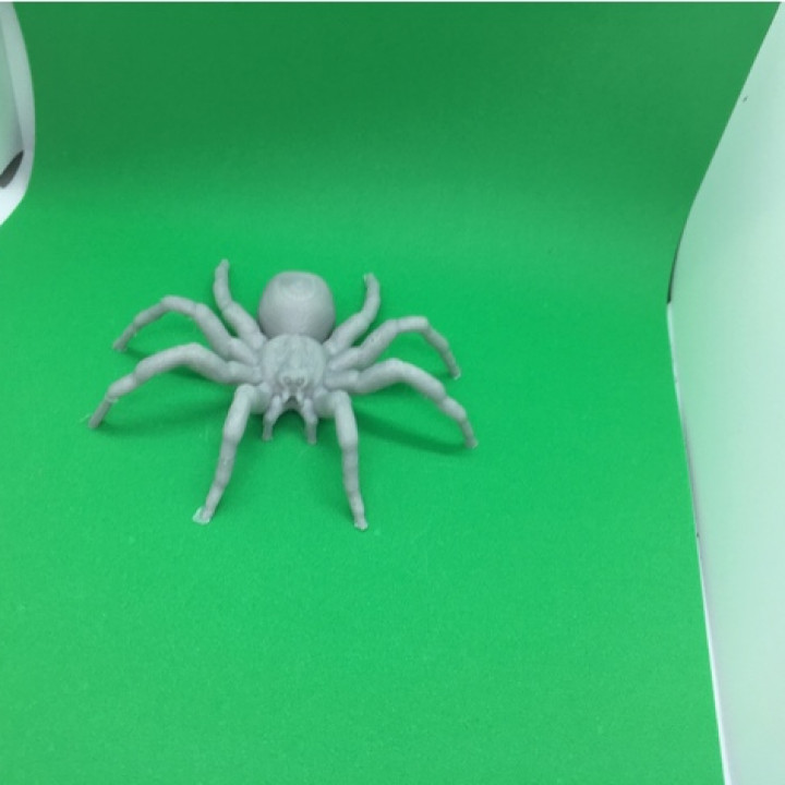 3D Printable Spider by Paul