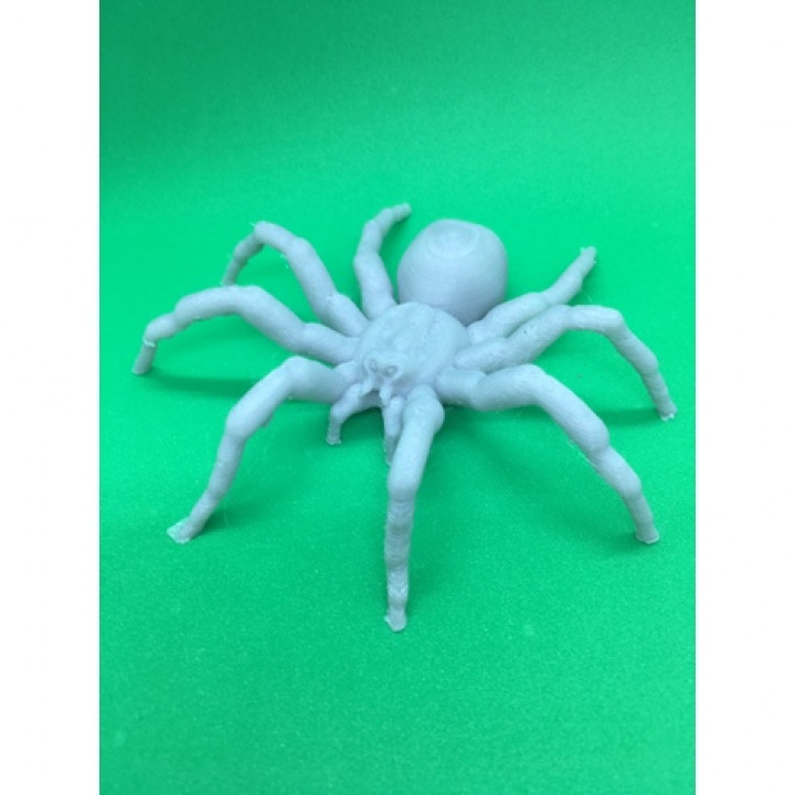3D Printable Spider by Paul