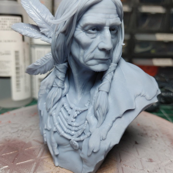3D Print of Native American Bust by Metalhead Printing