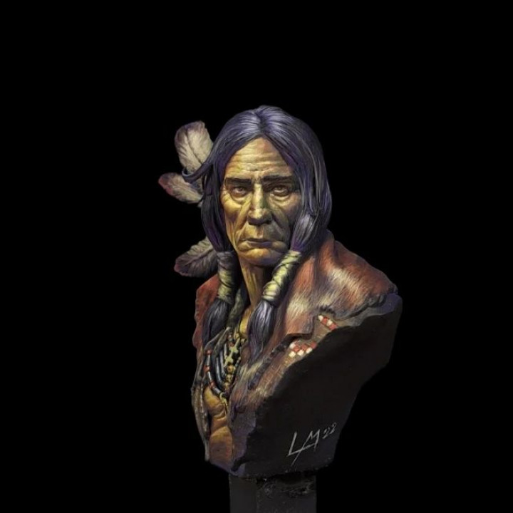 3D Print of Native American Bust by lacikmaj