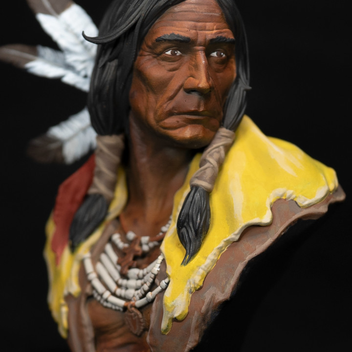 3D Print of Native American Bust by leonardhatcher