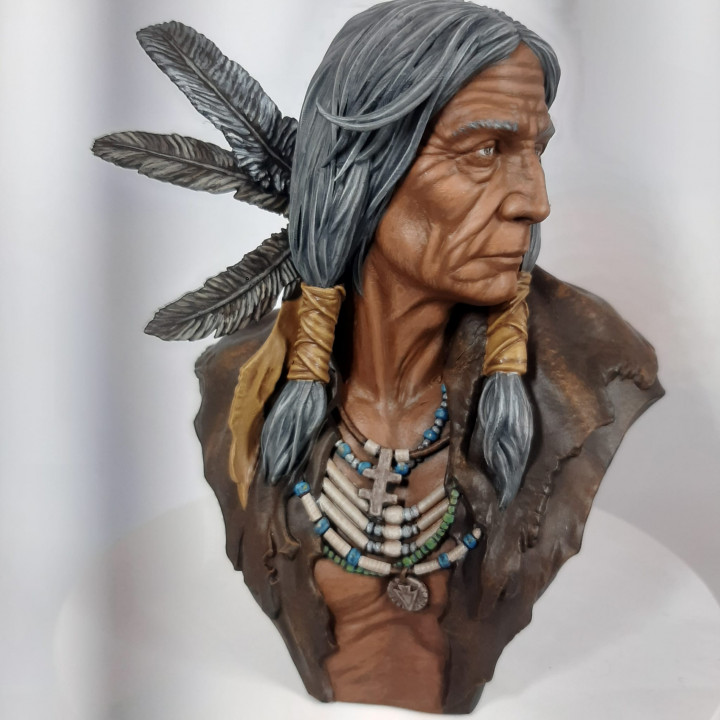 3D Print of Native American Bust by awandererssoul