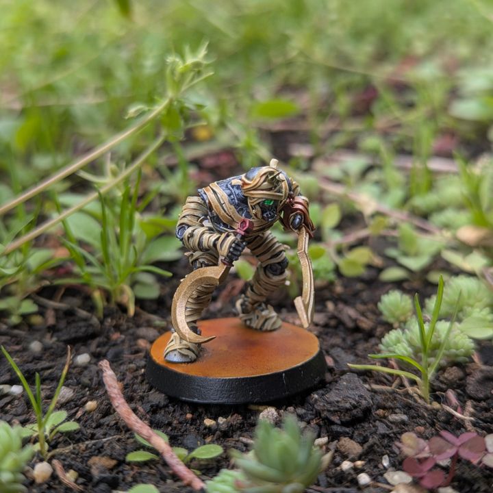 3D Print of The Mummified - Star Pharaohs by koscum