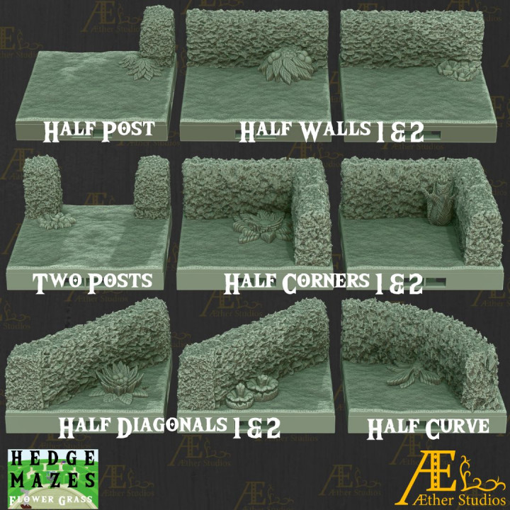 3D Printable AEHDGE04 - Flower Grass by Aether Studios