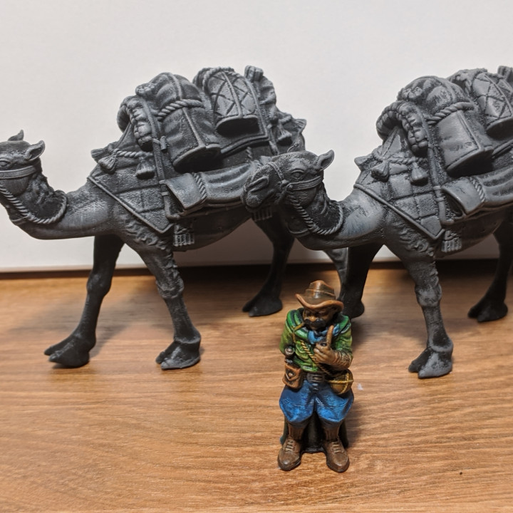 3D Printable The Old explorer by Vae Victis Miniatures