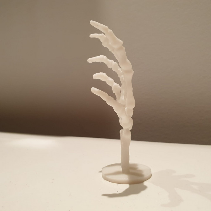 3D Printable skeleton hand by my create by Yotam