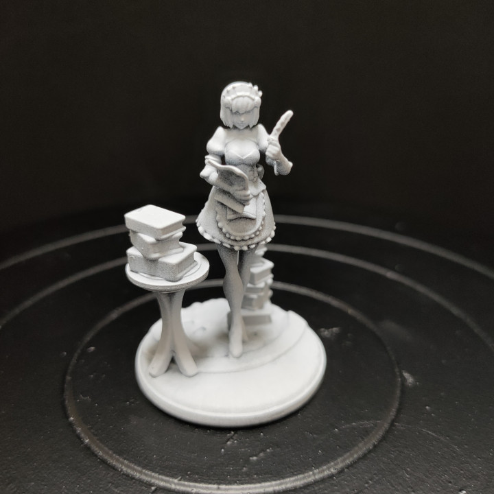 3D Printable Guild Receptionist by Village's Hope Miniatures