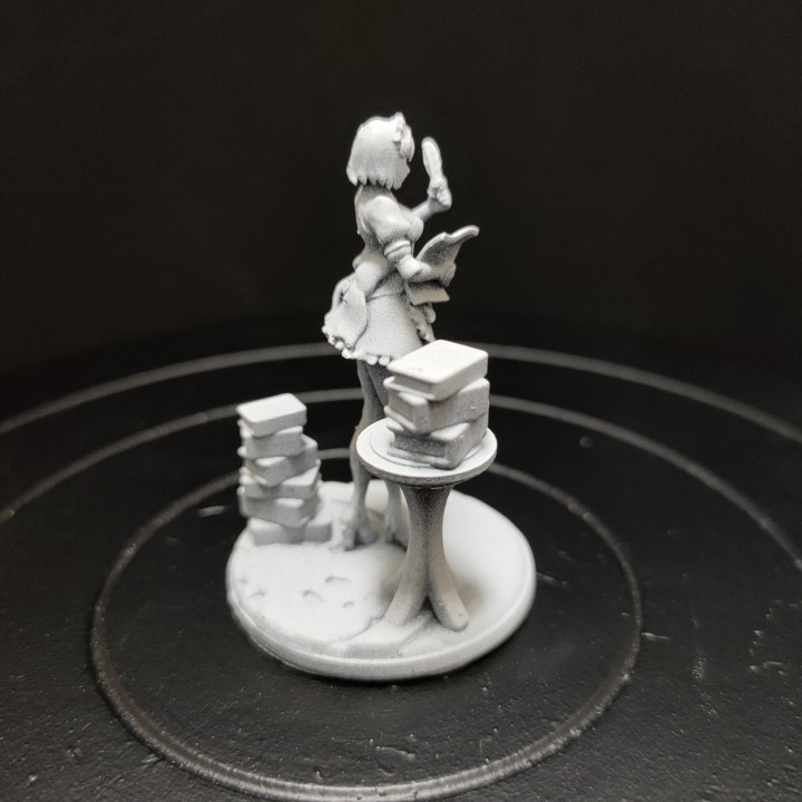 3D Printable Guild Receptionist by Village's Hope Miniatures