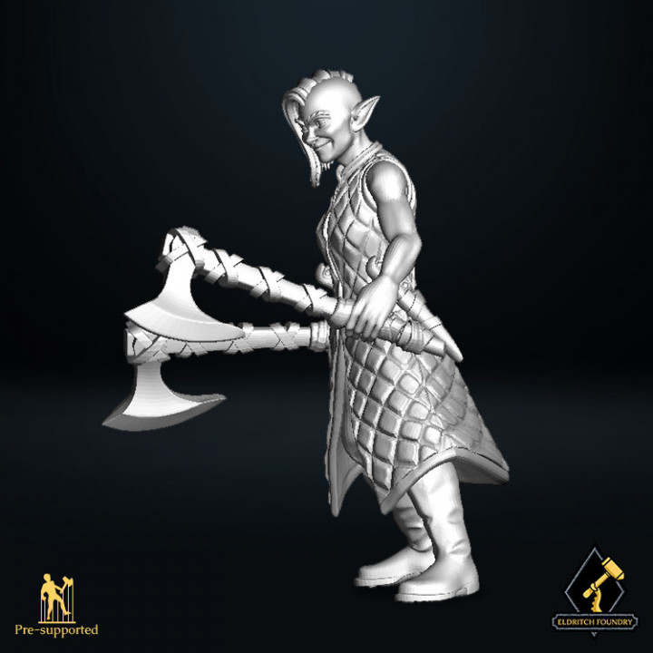 3D Printable Elf Shield Maiden by Eldritch Foundry