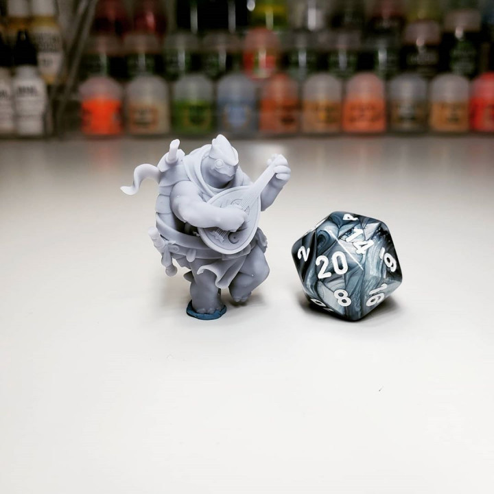 3D Printable Turtlefolk Bard by Manuel Boria