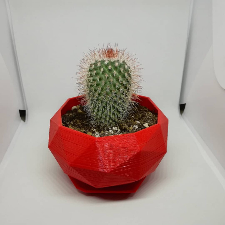 3D Printable Geometric Plant Pot by Alessio