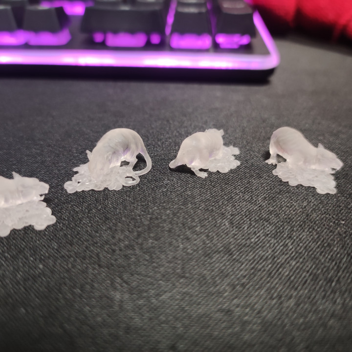 3D Print of Maks the Giant Rat - Tabletop Miniature by ricardoschurhaus