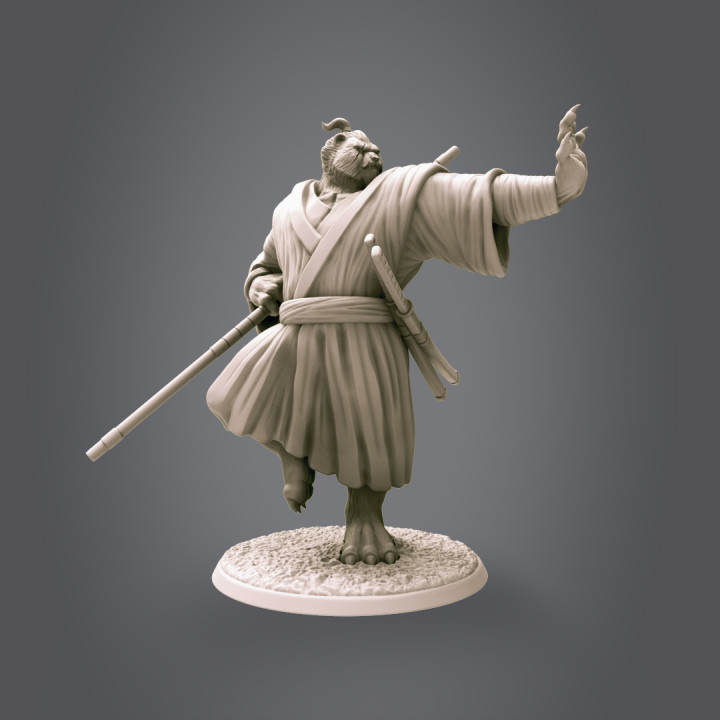 3D Printable Master of Chi 1 by clynche art