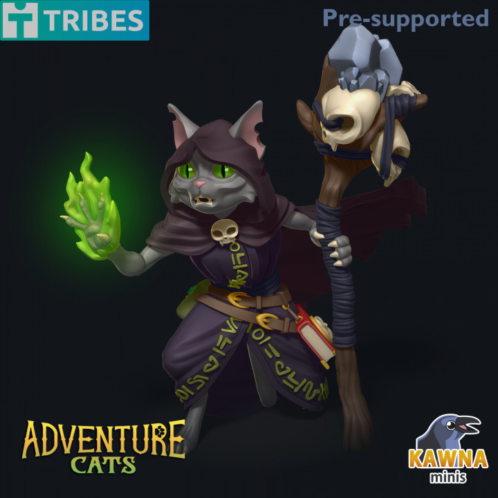 3D Printable Adventure Cats: Series 1 by Kawna Minis