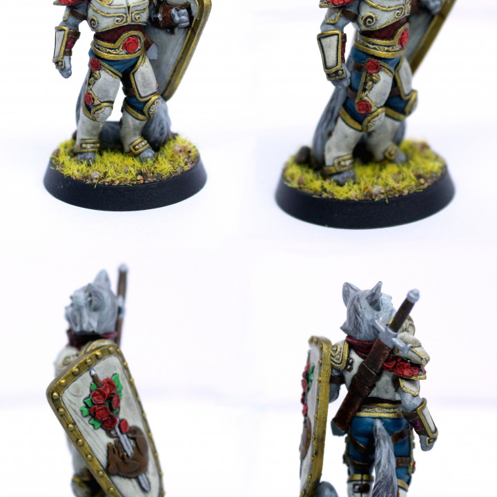 3D Print of Paladin Cat by CraftedQuests