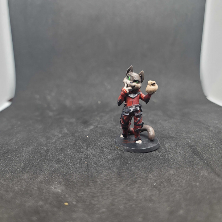 3D Print of Rogue Cat by spoonz202