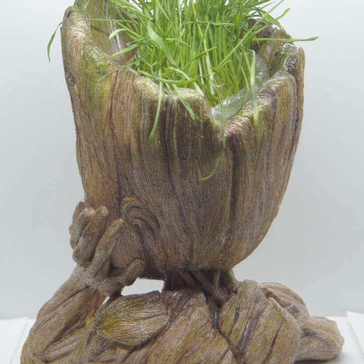 3D Printable Bodi Grut by Subochew