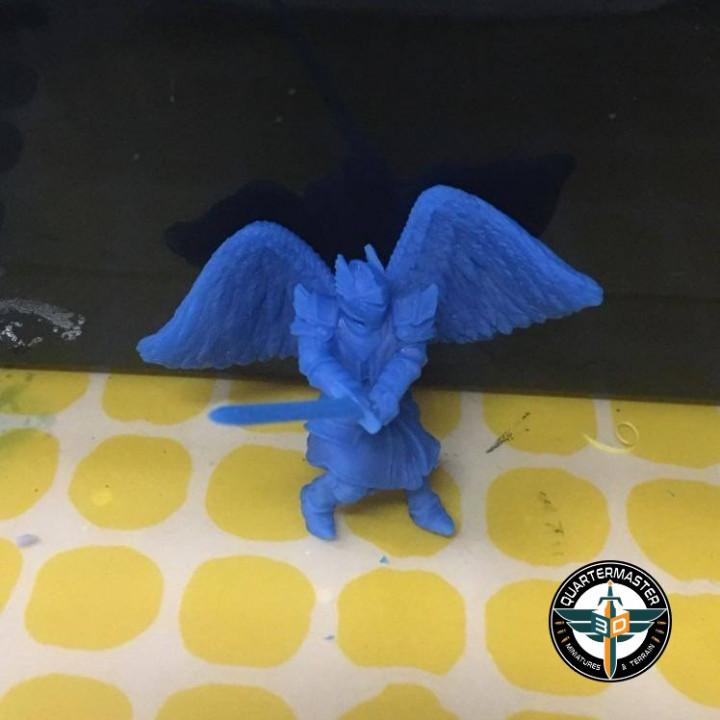 3D Printable Fantasy Arch Angel Knights by Quartermaster3D