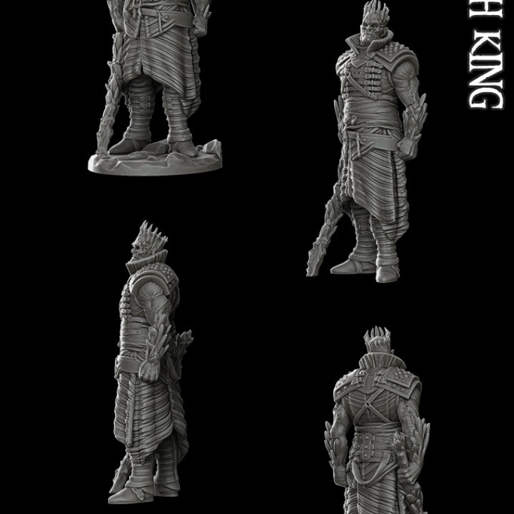 3D Printable Lich King by RocketPigGames