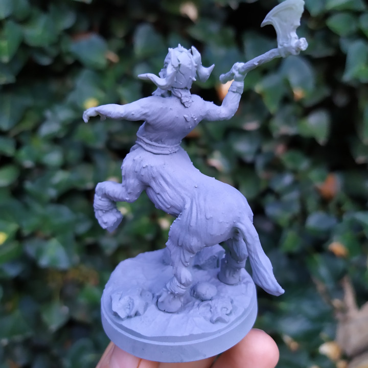 3D Printable Centaurs by Dreamcaster