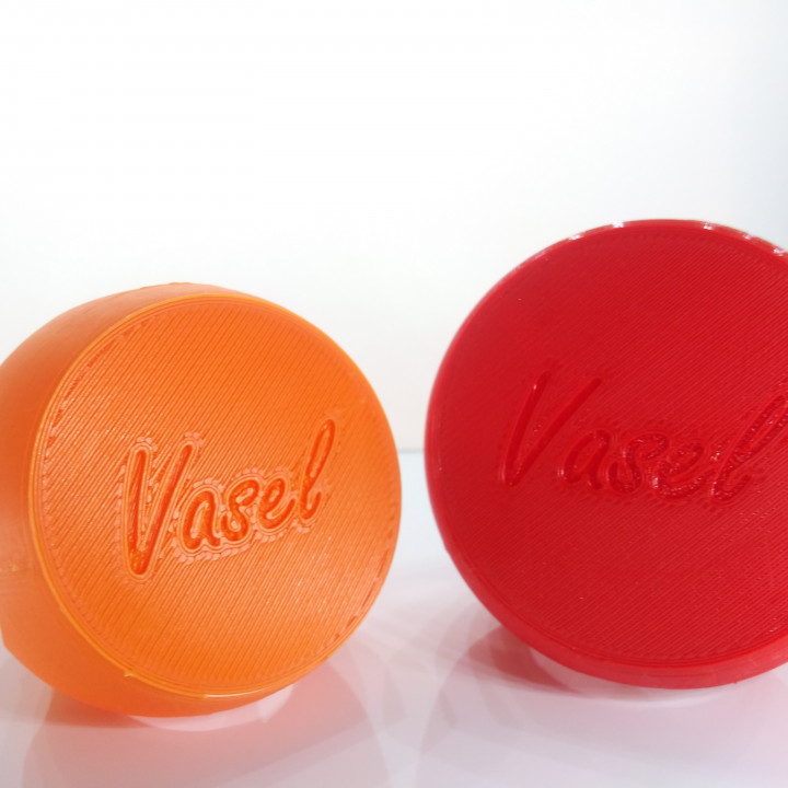 3D Printable Modern Vasel-flower vase by Poly Zelly-X3D