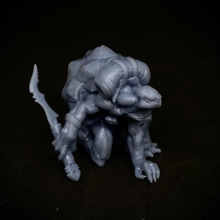 3D Print of Turtle land assassin. by Heresyofus