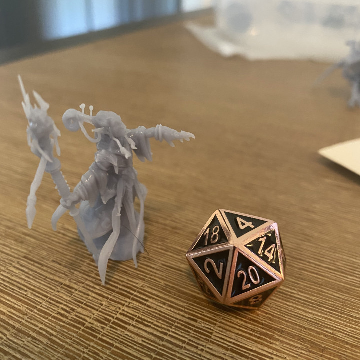 3D Printable Kalanaar Dryaalein, Drow Arachnomancer by Hack N Slash Minis