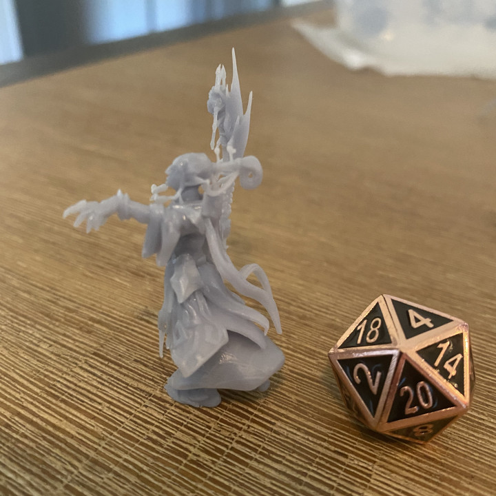 3D Printable Kalanaar Dryaalein, Drow Arachnomancer by Hack N Slash Minis