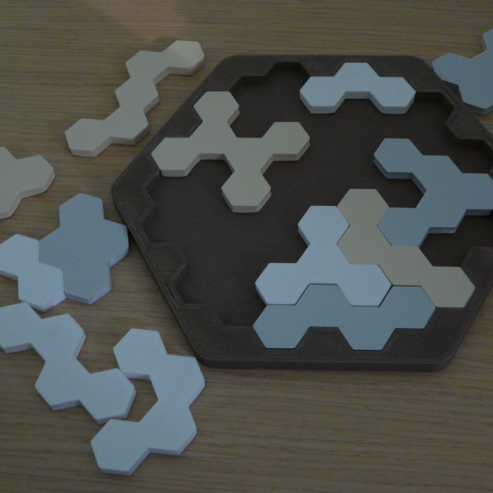 3D Printable Polyhex Puzzle by voidbubble