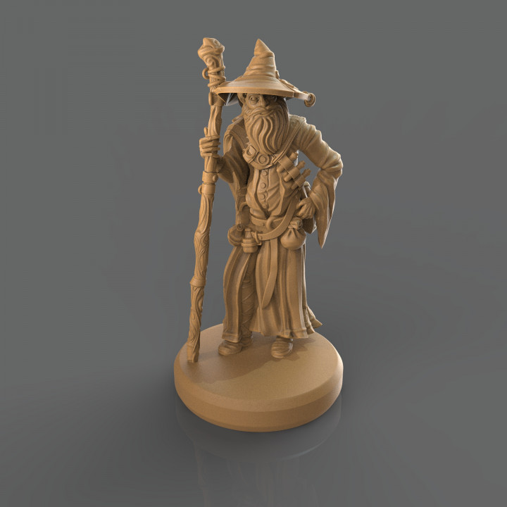 3D Printable Wizard - pre-supported stl by Grinning God