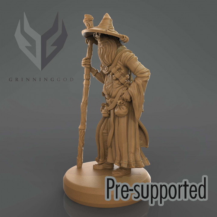 3D Printable Wizard - pre-supported stl by Grinning God